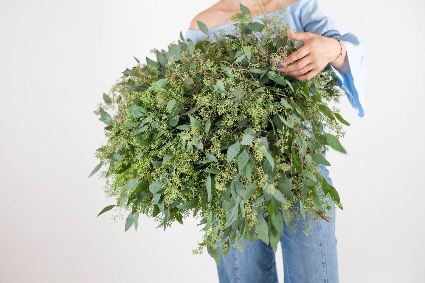 Shop Bulk Seeded Eucalyptus Wholesale Bundles – Hello Eucalyptus