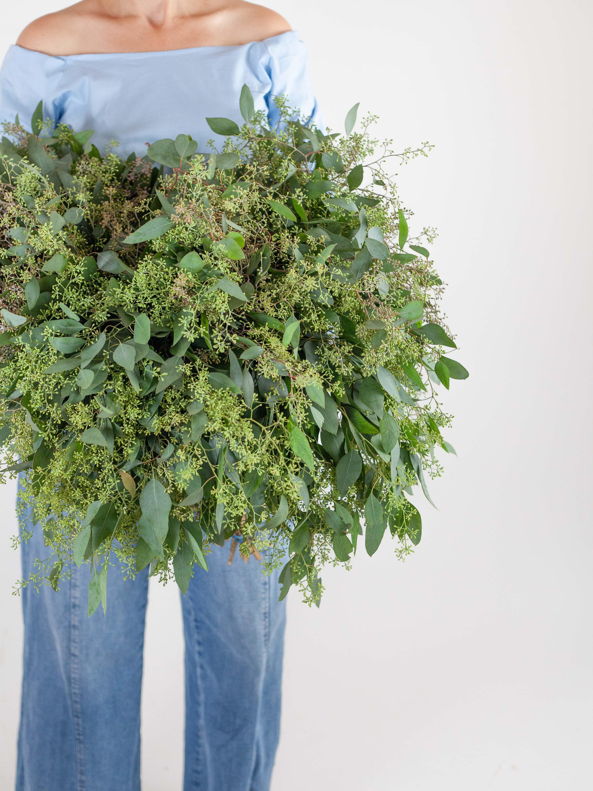 Shop Bulk Seeded Eucalyptus Wholesale Bundles – Hello Eucalyptus