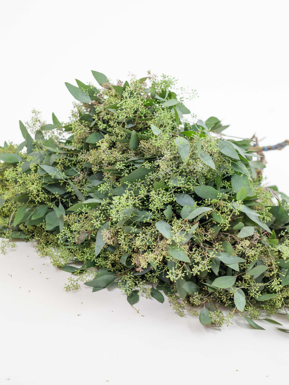 Buy Wholesale Eucalyptus Greenery & Foliage In Bulk | Order Online ...